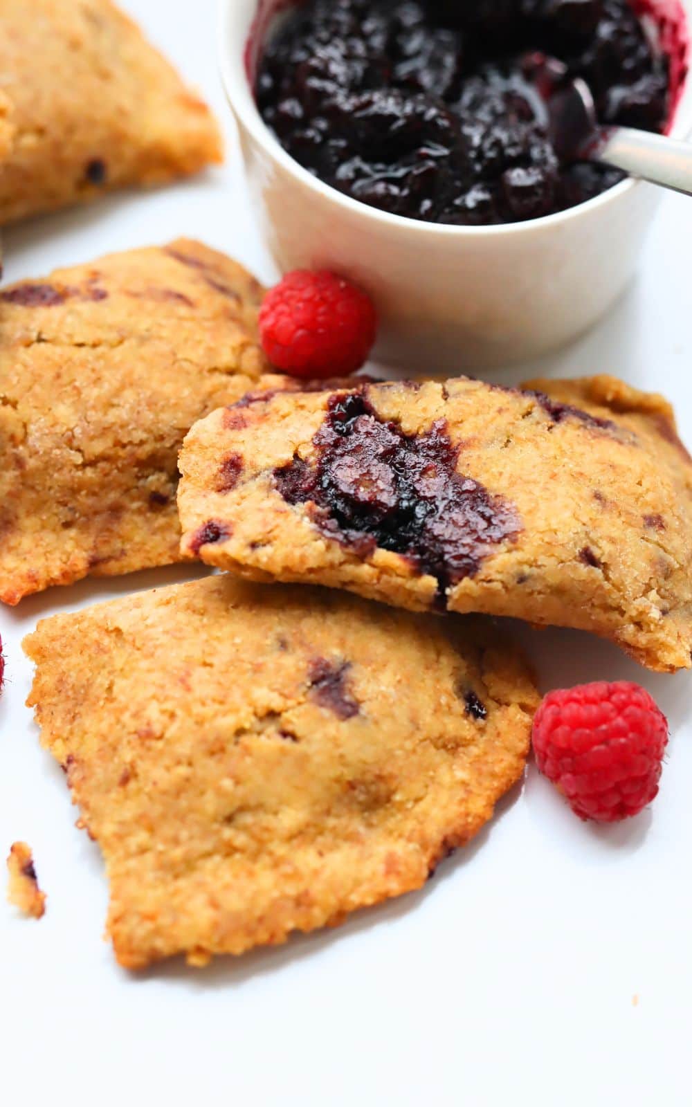 Homemade Berry Nutri Grain Bars From Scratch (Gluten-Free, Sugar-Free ...
